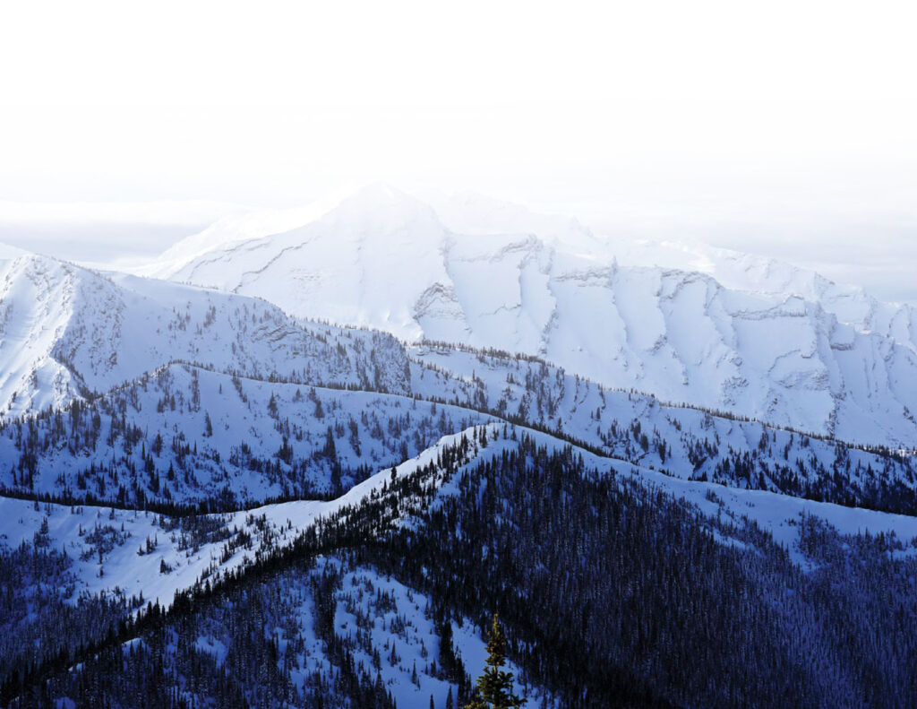 Avalanche Forecast - Flathead Avalanche